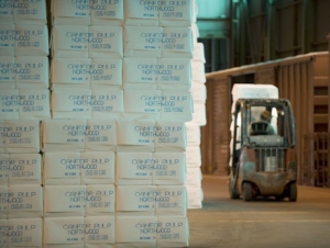 Canfor Pulp Products Reports Record Income and Sales in 2018