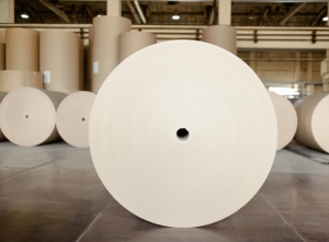 INVL Baltic Sea Growth Fund to Invest Up to EUR 30 Million in Cardboard ...