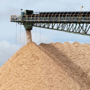 Regional U.S. Chip and Pulpwood Price Trends Diverge