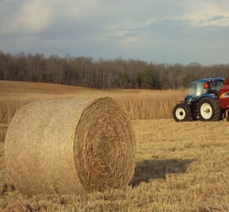 Genera Launches New Program to Help Tennessee Farmers Offset ...